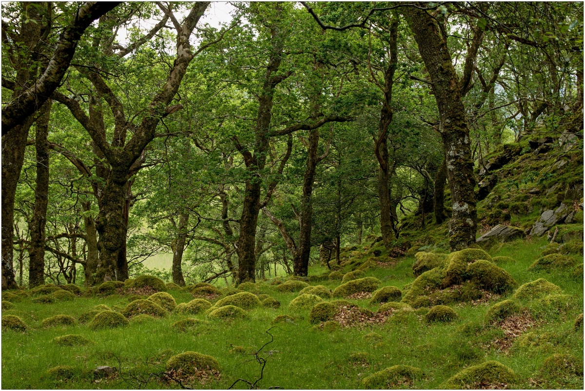 Nejhezčí hory Skotska :: Přednášky a kurzy pro školy